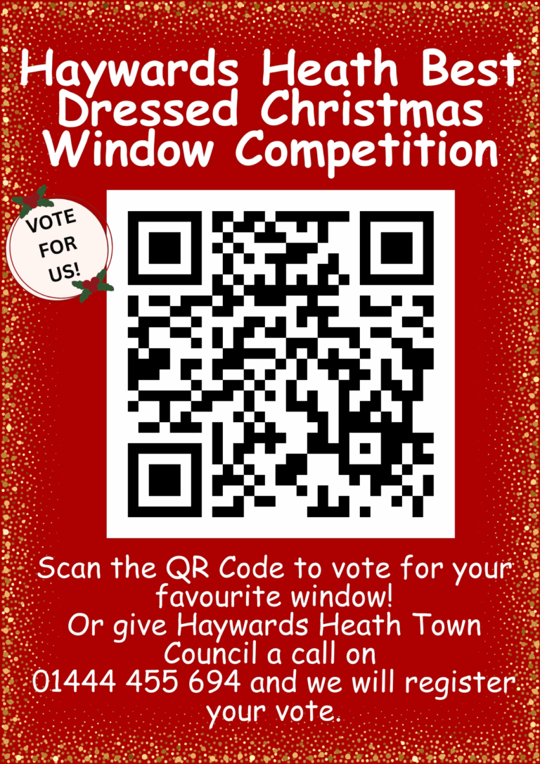 Christmas Window Display - Oathall Veterinary Group
