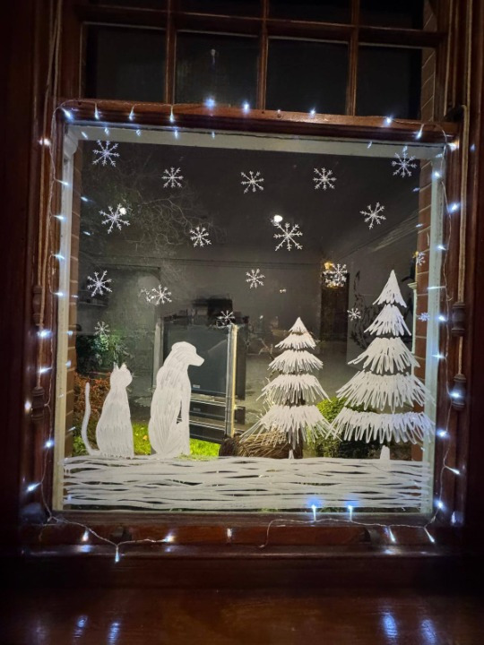 Christmas Window Display - Oathall Veterinary Group