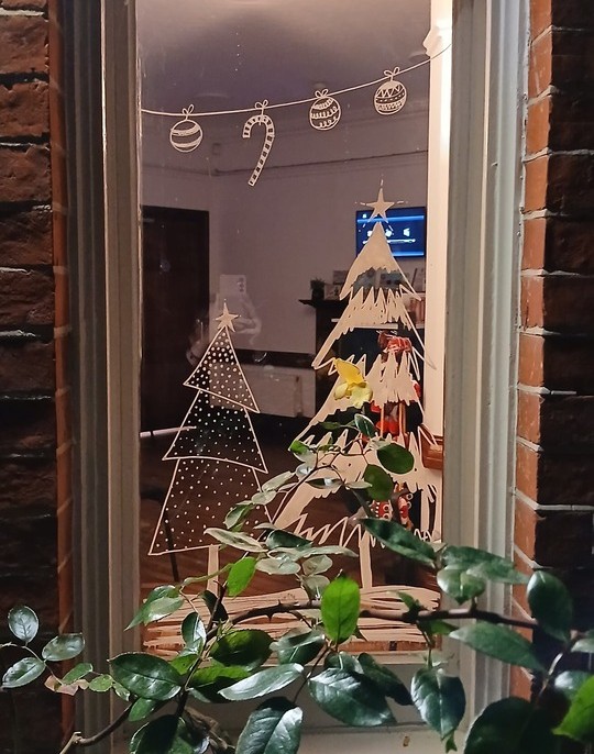 Christmas Window Display - Oathall Veterinary Group